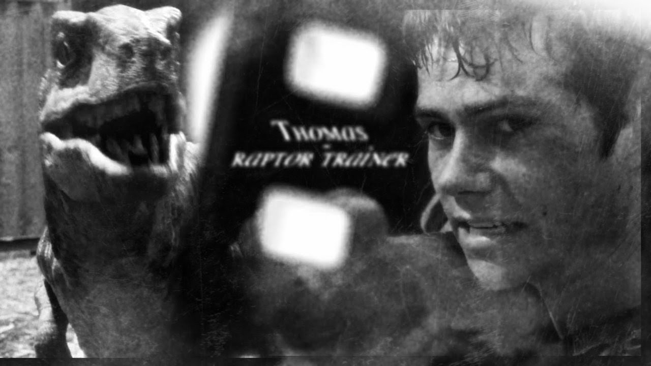 Thomas ⚈ Raptor Trainer (Jurassic World AU) - YouTube