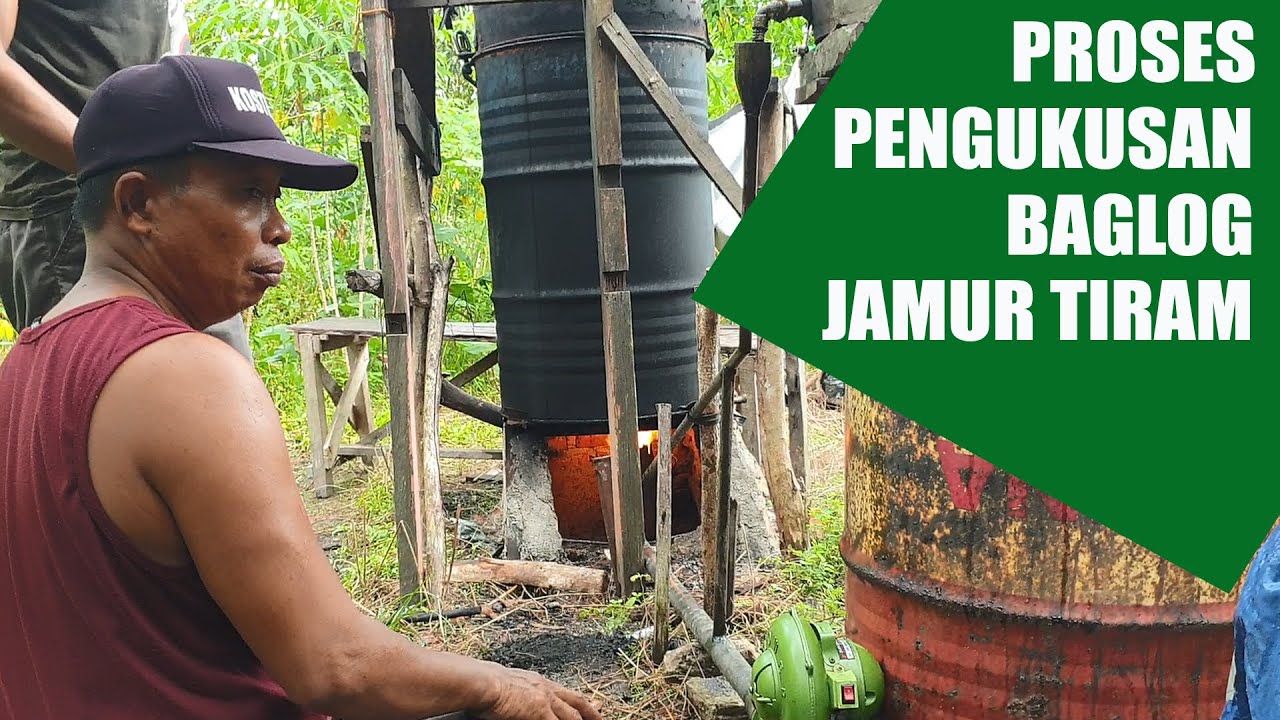 PROSES PENGUKUSAN BAGLOG JAMUR TIRAM - YouTube