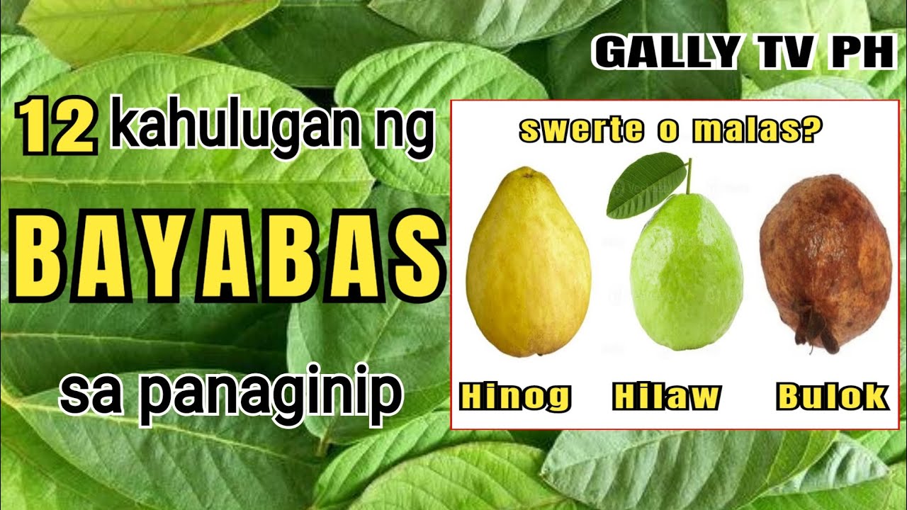 12 kahulugan ng BAYABAS sa panaginip # bayabassapanaginip # ...