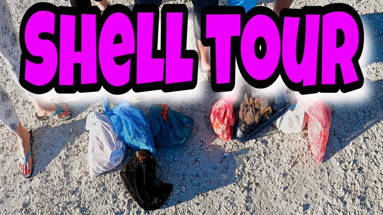 SHELL TOUR on One of the Most AMAZING Days Ever - YouTube