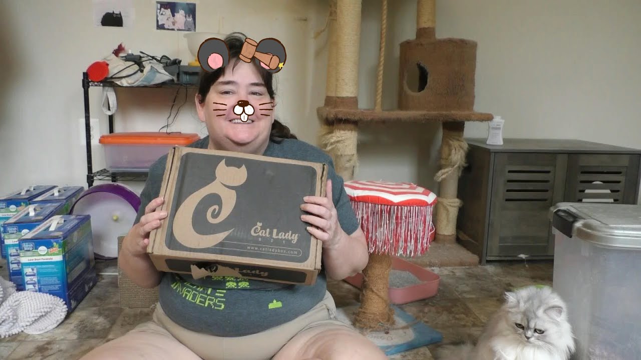 Cat Lady Box( Purrfectly Wild ) August 2024! 😻 - YouTube