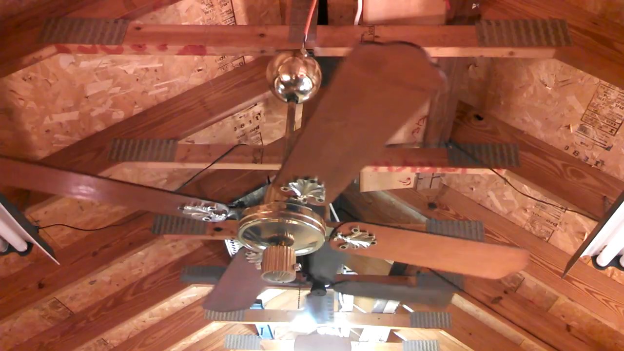 SMC (Shell Manufacturing Co) 24k Gold Plated "Laguna" Ceiling Fan - YouTube