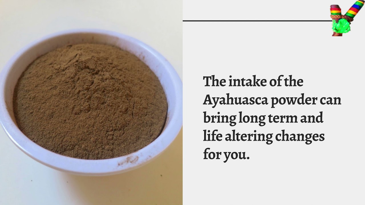 Buy Ayahuasca powder - YouTube