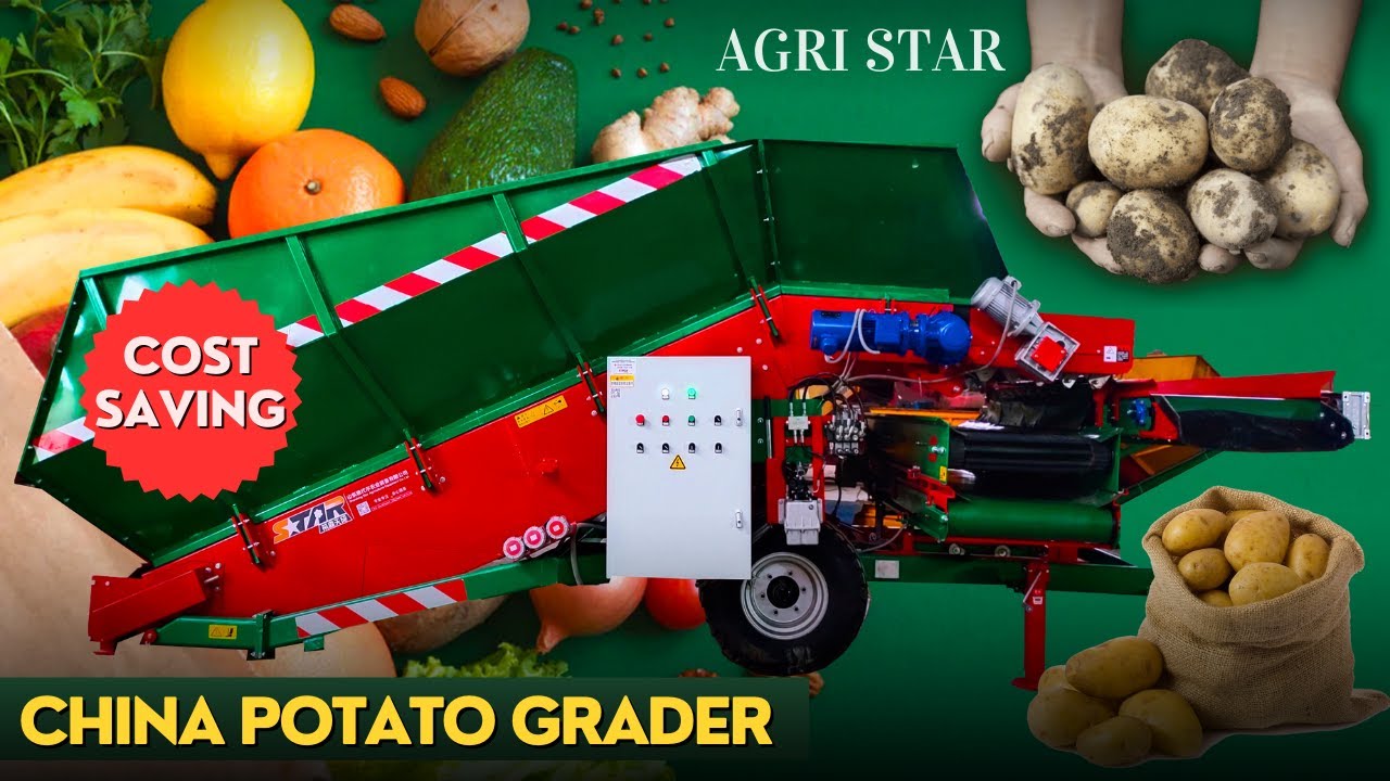 The Future of China Potato Grader Review is Here, The China Potato ...