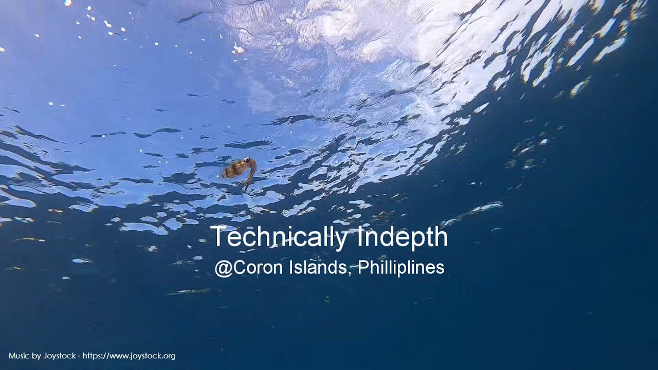 Technical Diving at Coron Bay, Philippines - YouTube