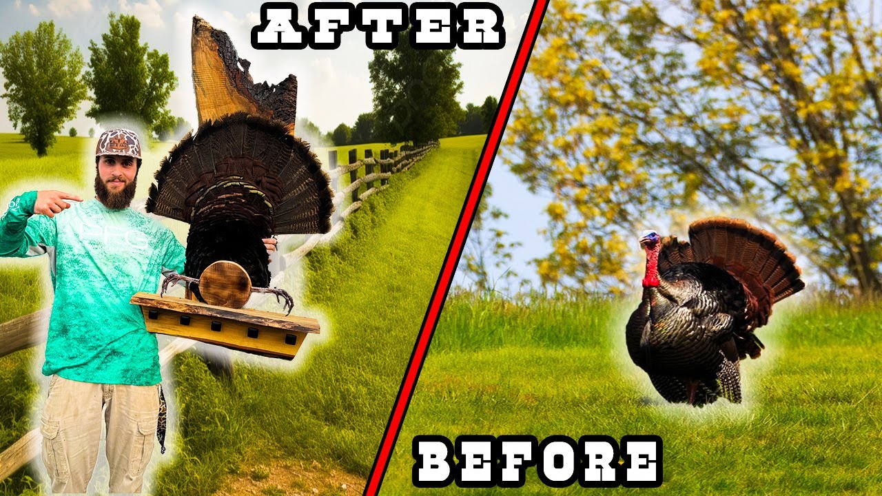 How to Mount Your OWN TURKEY | DIY TAXIDERMY - YouTube