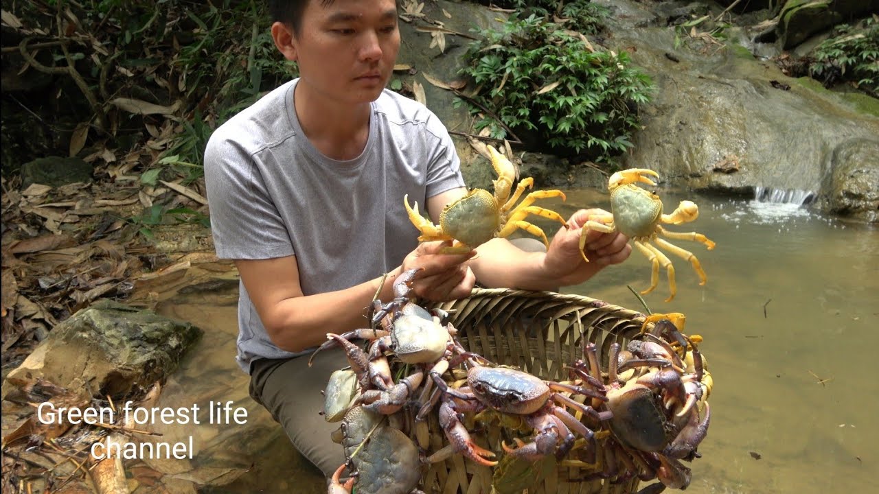 Stream crabs delicious and fatty. Robert | Green forest life (ep296) - YouTube