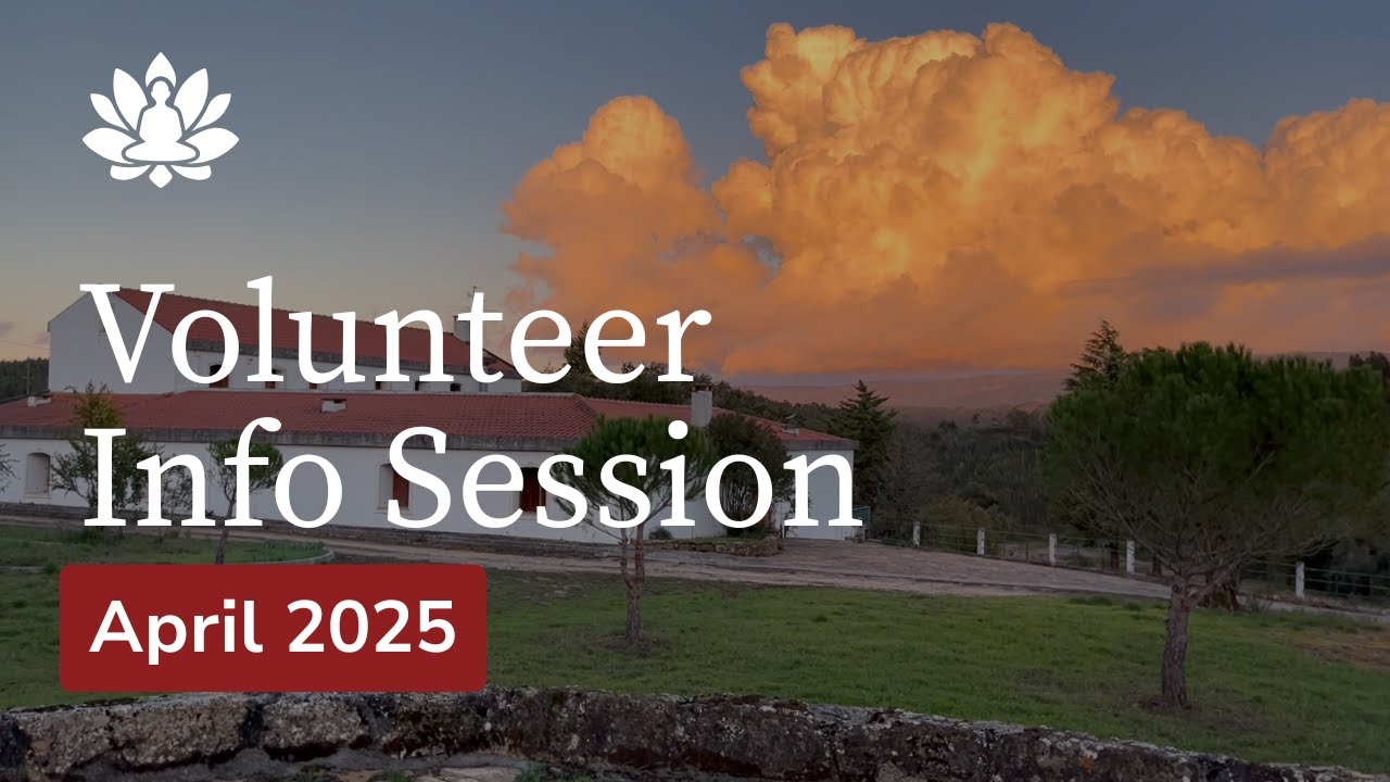 April - Volunteer Information Session - YouTube