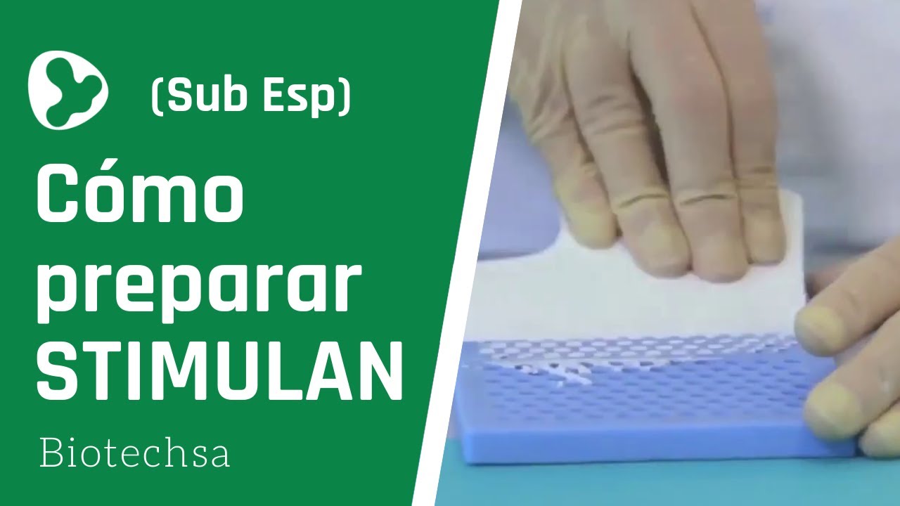 STIMULAN - Video de preparación con subtítulos en español - YouTube