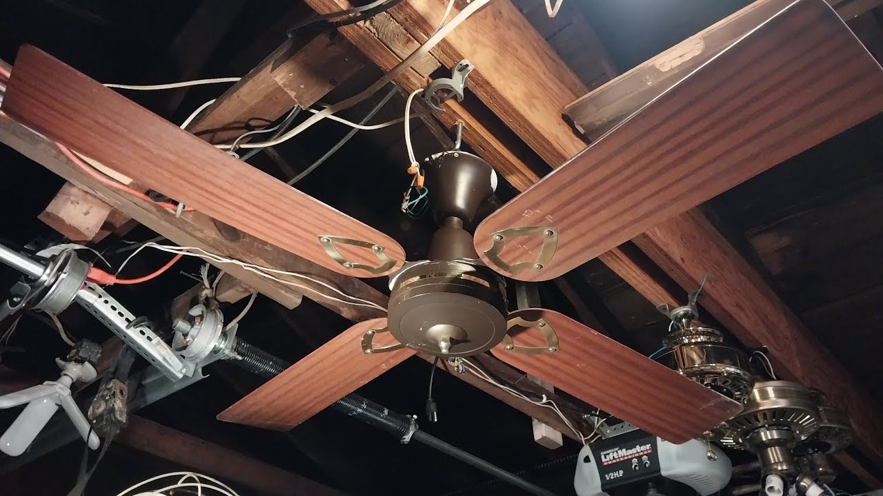 Miami Carey (Evergo) 48" ceiling fan - YouTube