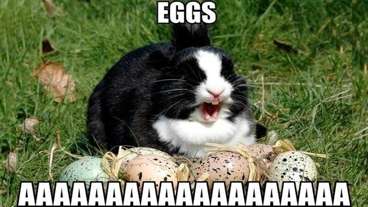 #1 LEAD FOR THE IMPOSSIBLE EASTER EGG- SHADOWS OF EVIL - YouTube