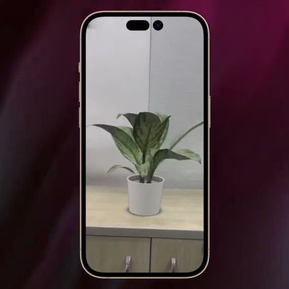 Eazyoutsource.com AR test. Plant with Pot. - YouTube