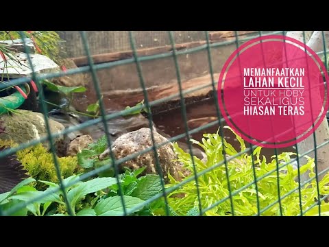 Make over taman dalam aviary mini - YouTube