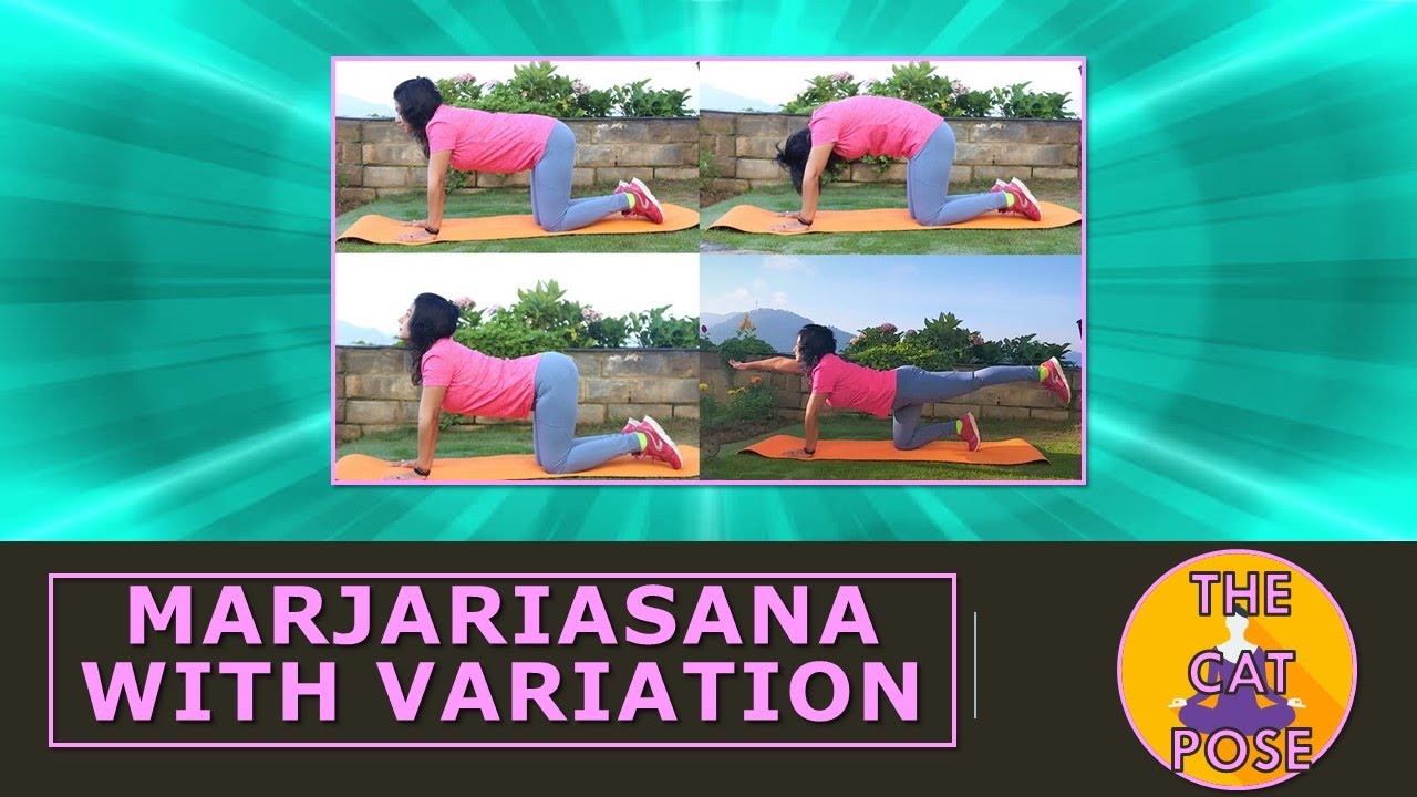 Marjariasana with variations||The Cat Pose||Do Along with Steps||Yogini ...