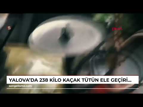 Yalova'da 238 kilo kaçak tütün ele geçirildi