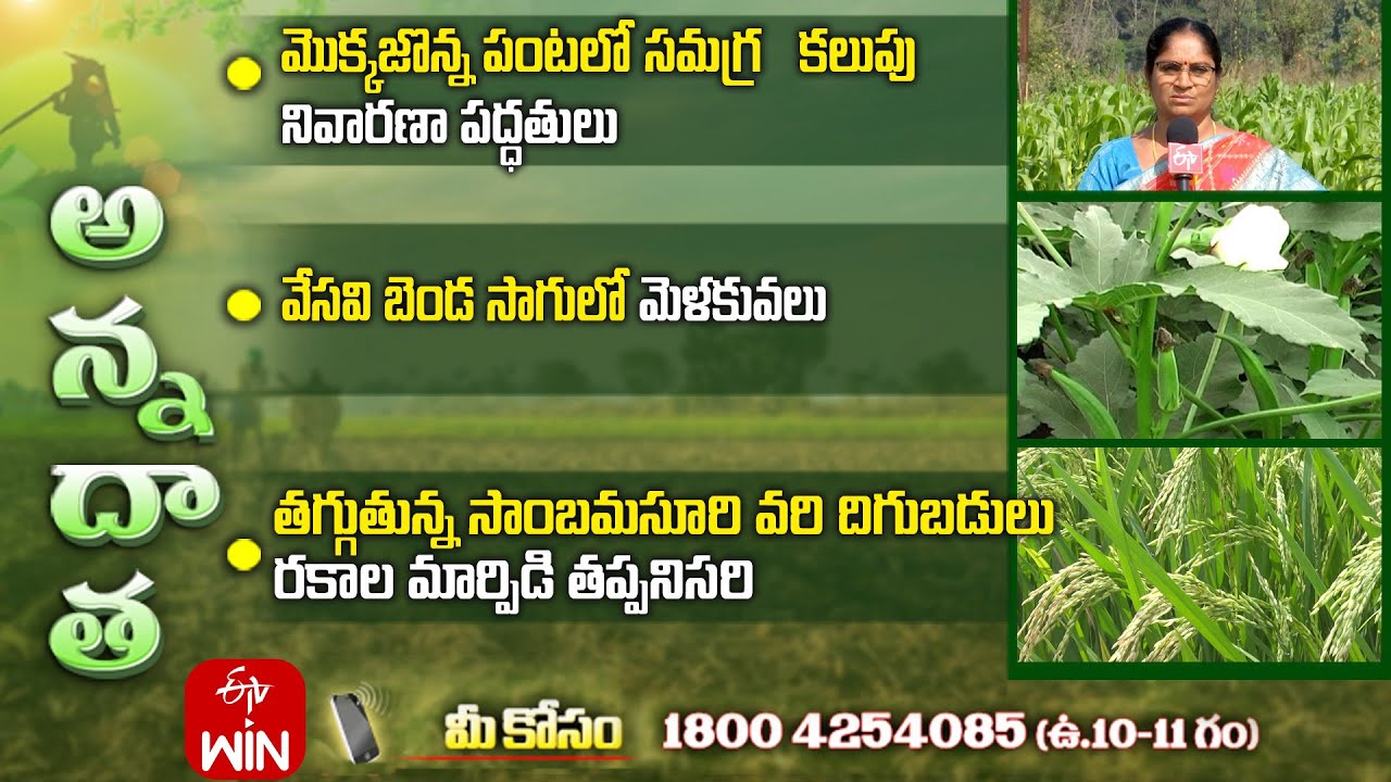 2nd January 2024 | Annadata | అన్నదాత | Full Episode | ETV Telugu - YouTube