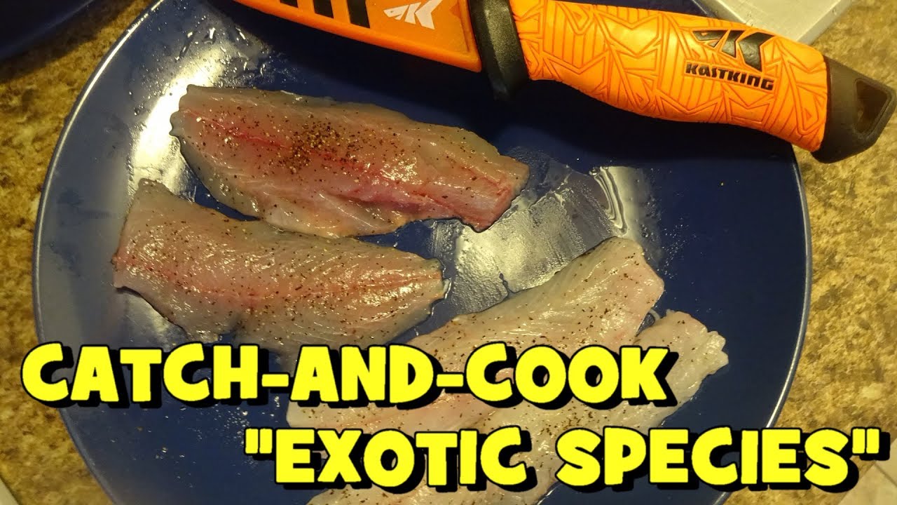 Catch-And-Cook "EXOTIC SPECIES!" My FIRST TIME Trying it Out! - YouTube
