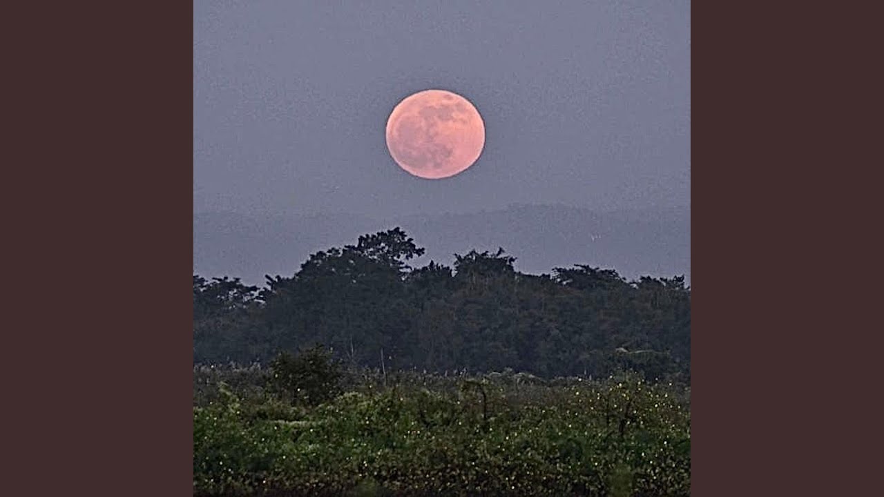 Under The Moon - YouTube