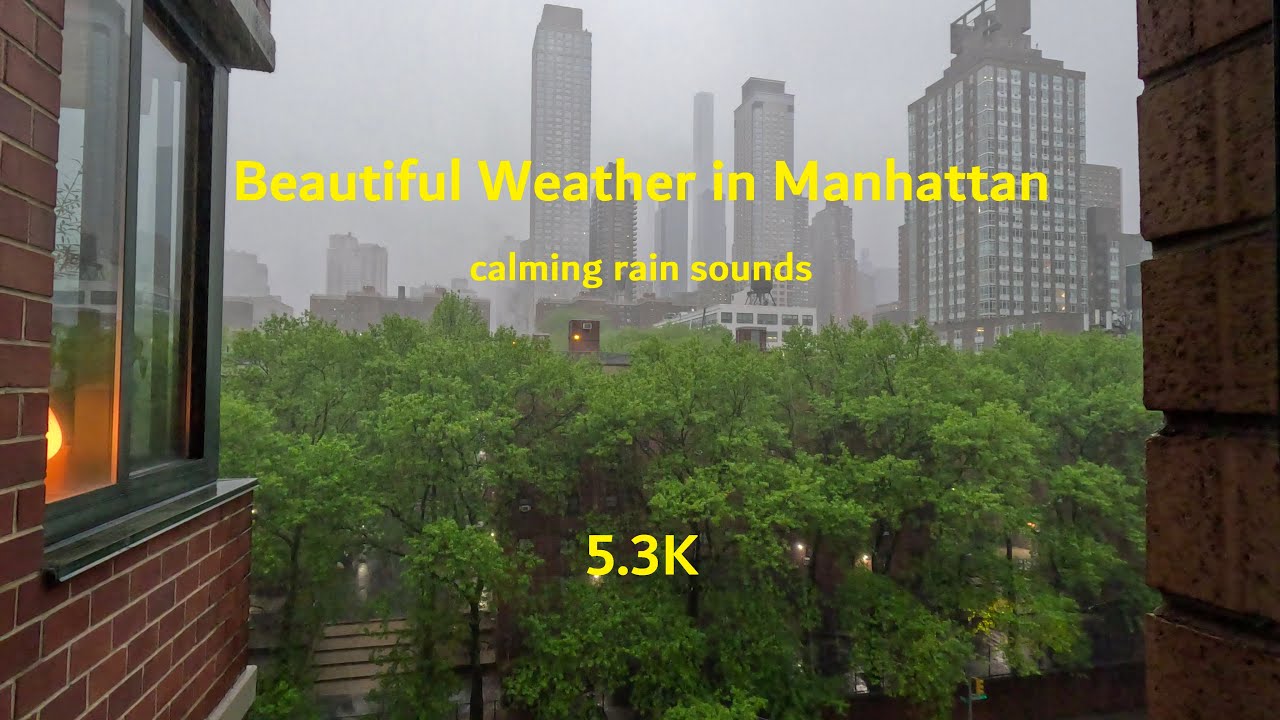 Beautiful calming rain in Manhattan today. - YouTube
