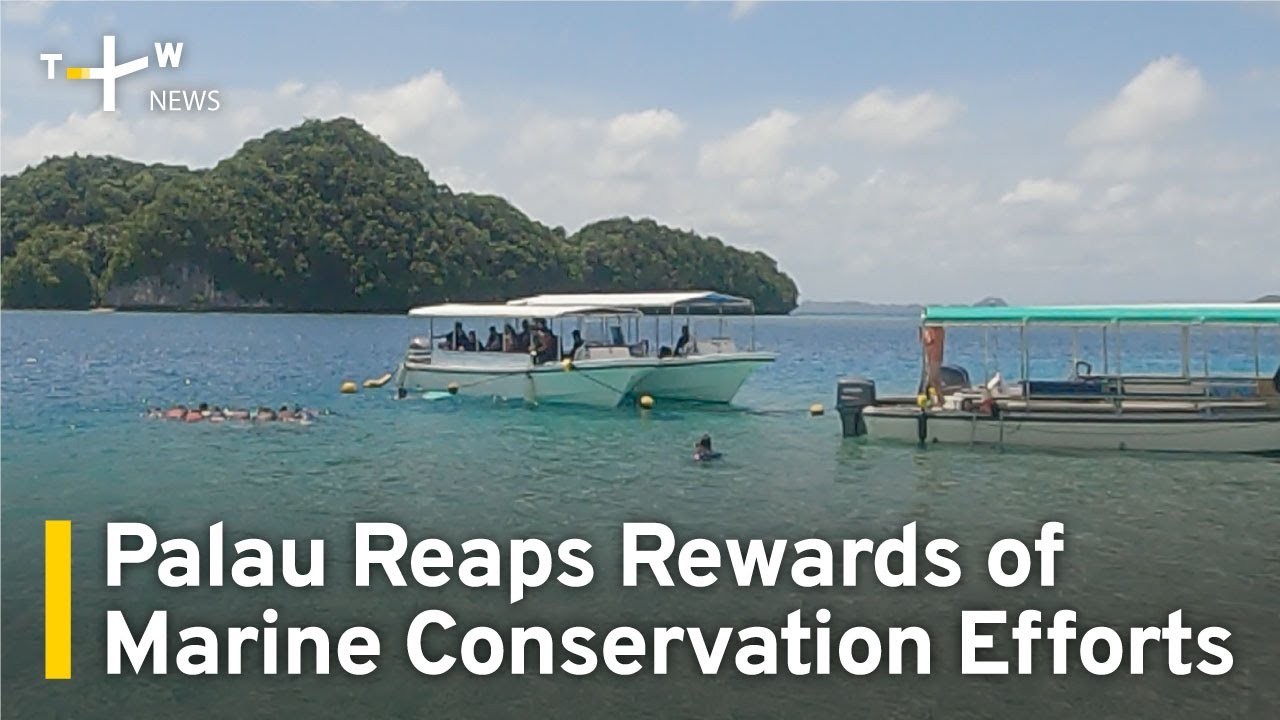 Palau Reaps Rewards of Marine Conservation Efforts | TaiwanPlus News ...