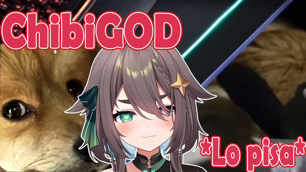 MEICA nos presenta a CHIBI!! ️ ️😍😍 - YouTube