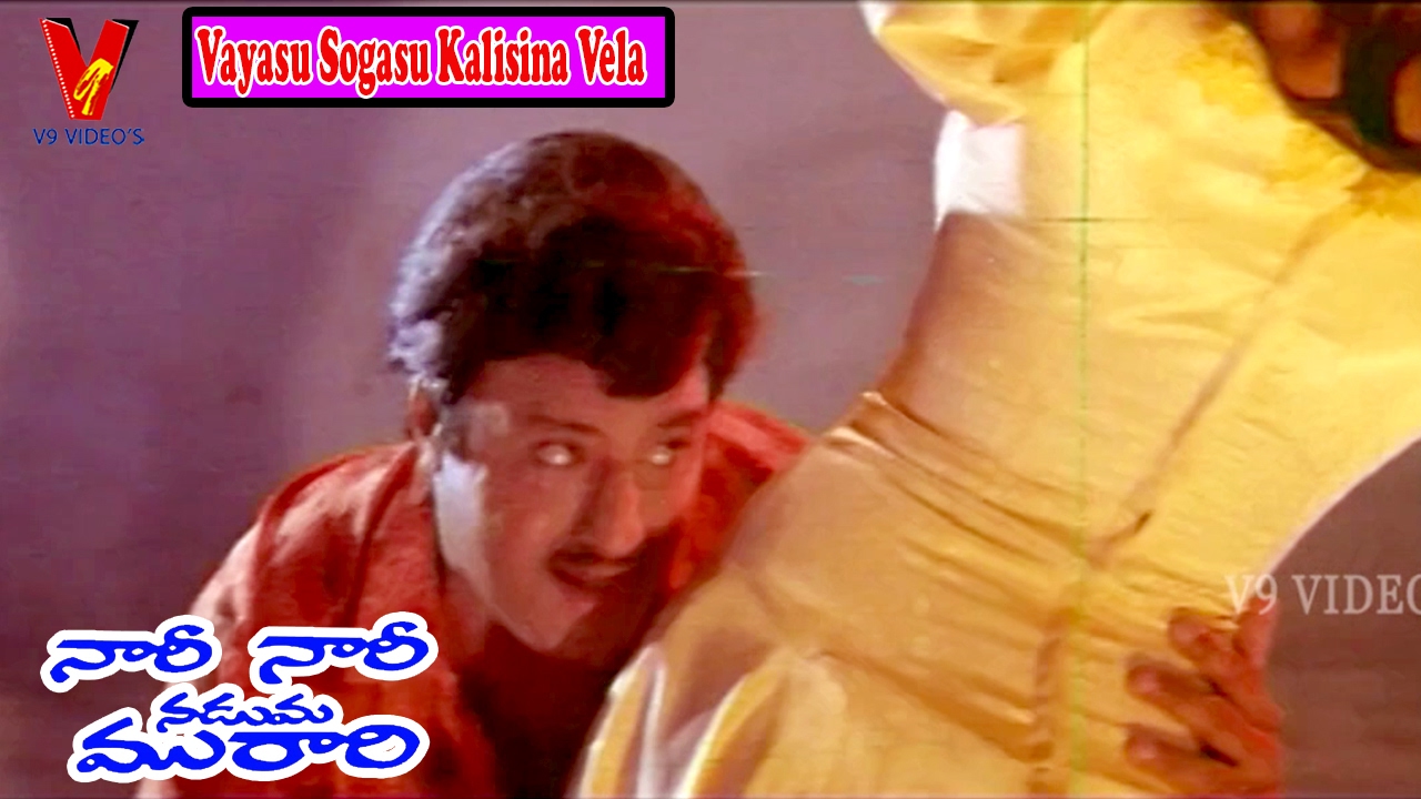 VAYASU SOGASU VIDEO SONG | NARI NARI NADUMA MURARI | BALA KRISHNA ...