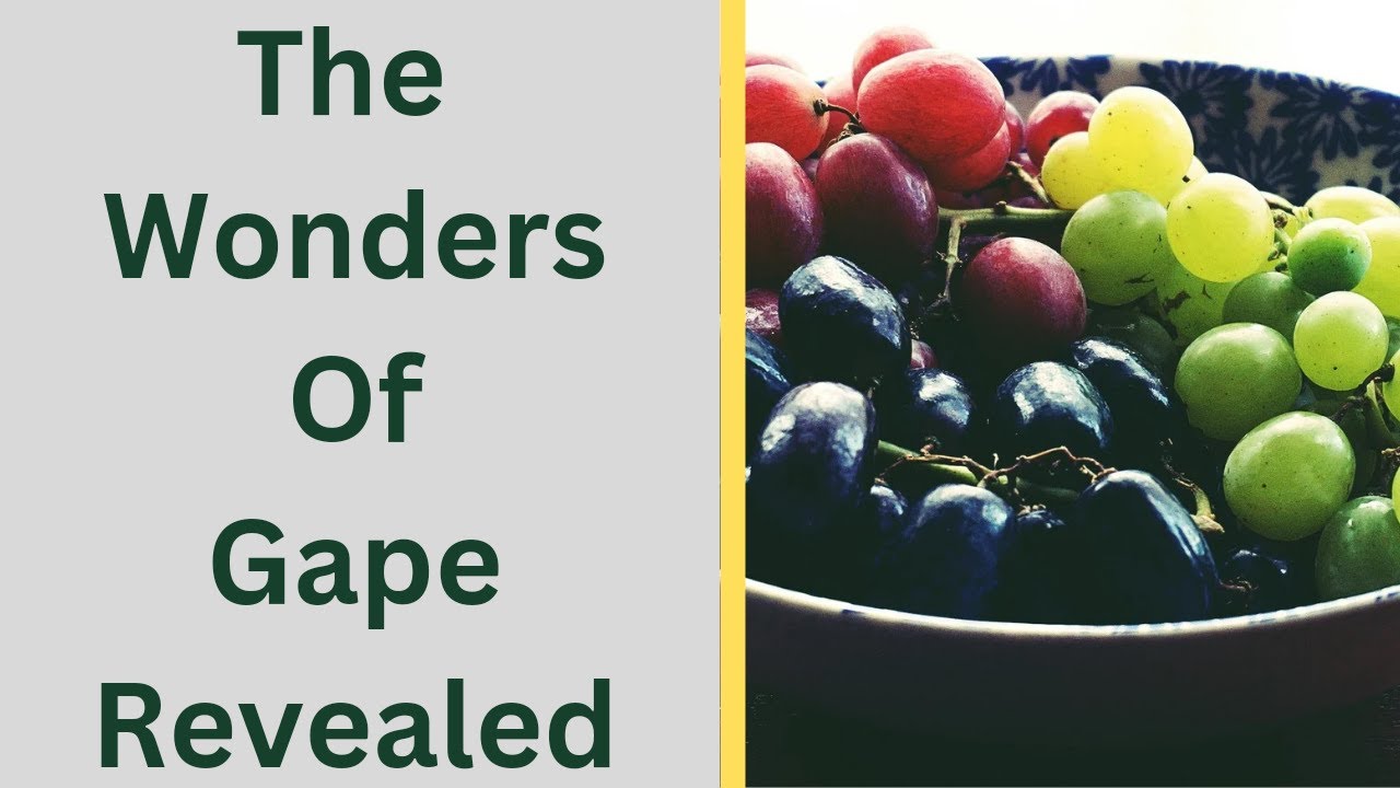 The Power Of Grape, See What Happens To Your Body When You Eat Them ...