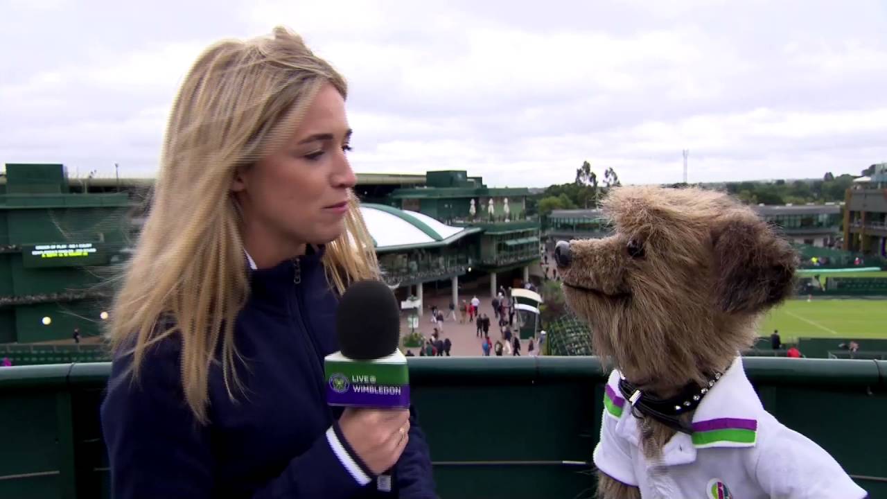 The If series - Hacker T Dog - YouTube