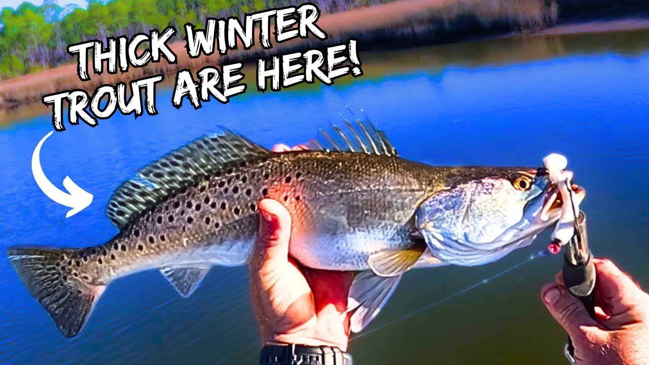 So... You Want to Catch Limits of Thick SPECKLED TROUT! Fish these ...