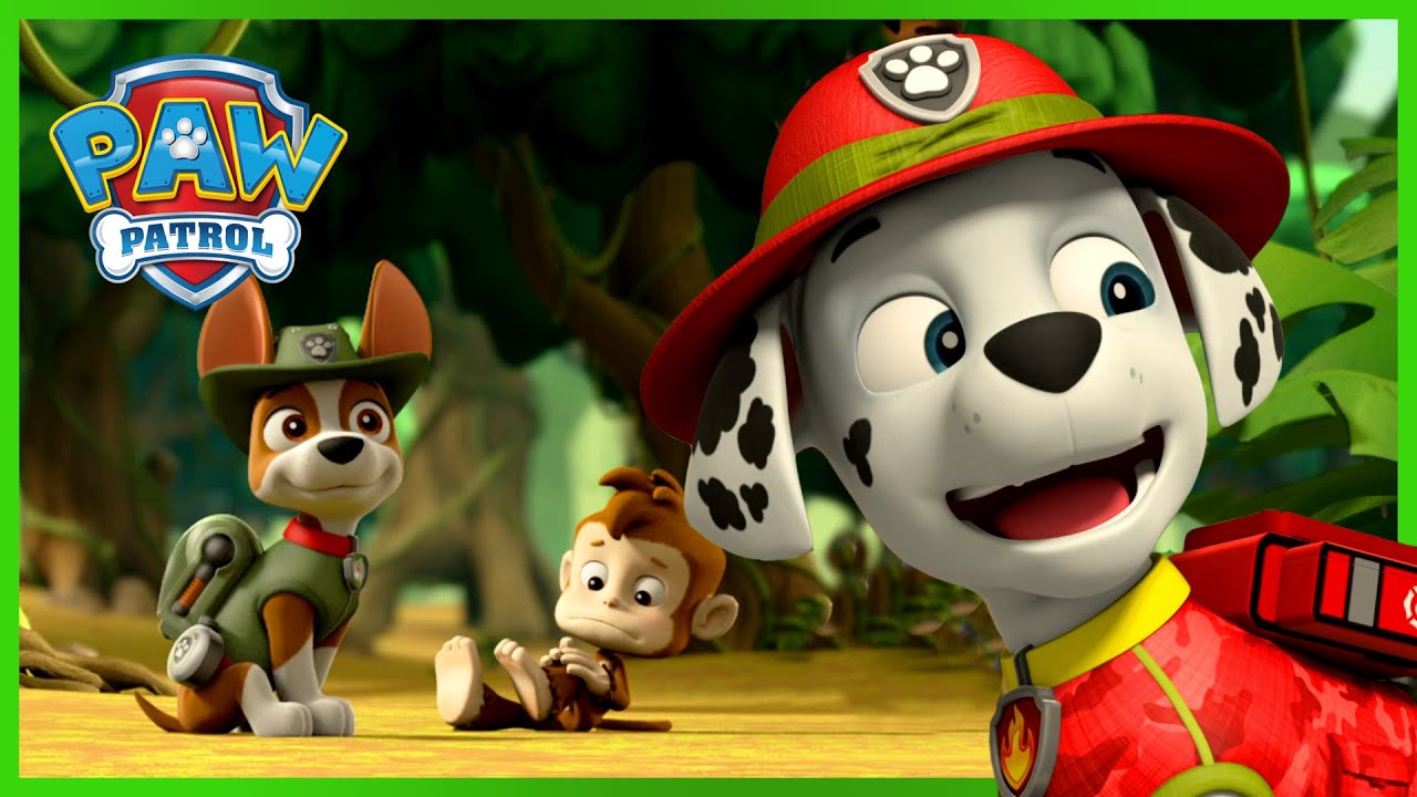Pups Smell a Stinky Jungle Rescue! 🙊 - PAW Patrol Rescue Episode ...