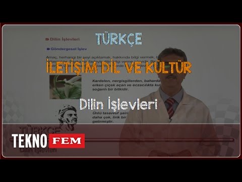 9. Sınıf TÜRKÇE - Dilin İşlevleri