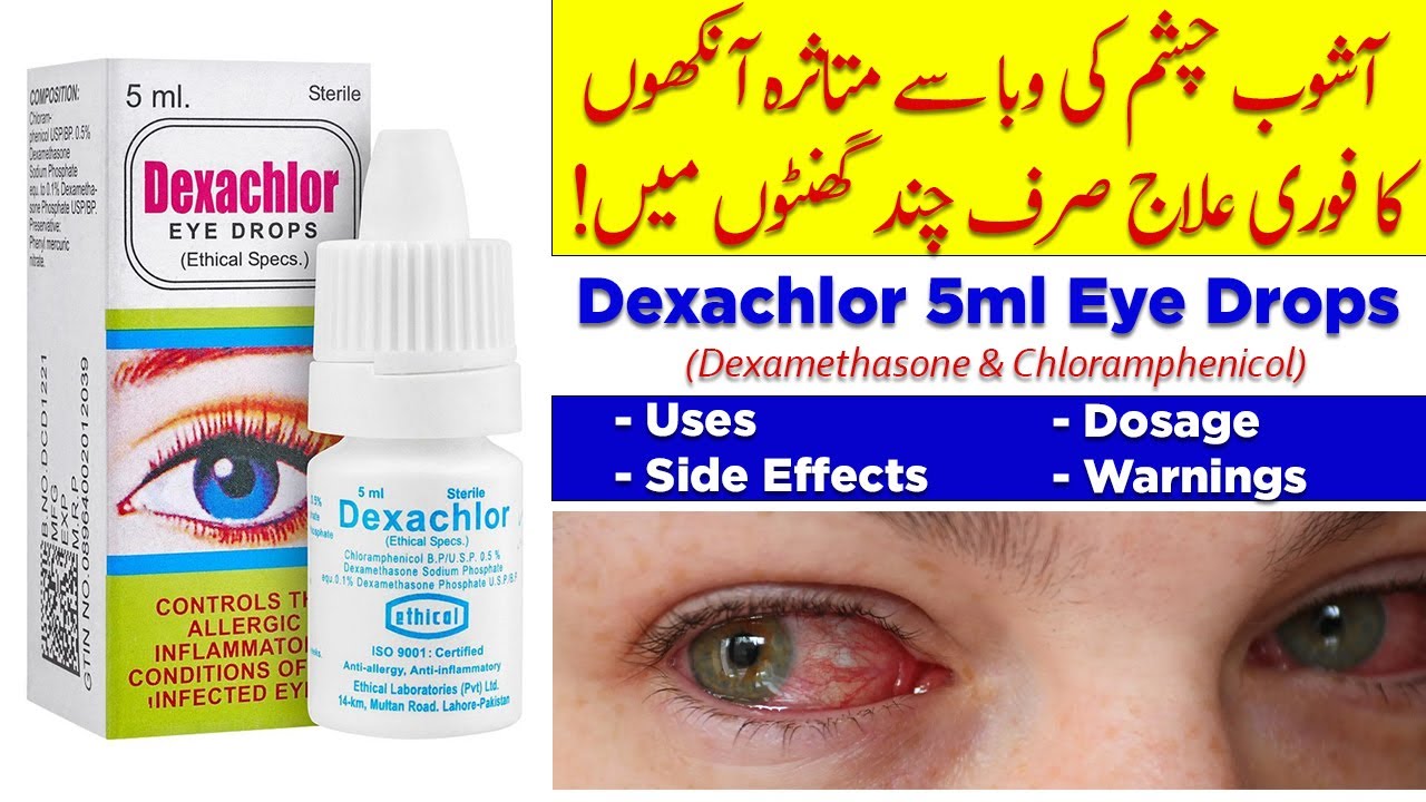 Dexachlor 5ml Eye Drops |Uses Of Dexachlor Drops|(Chloramphenicol ...