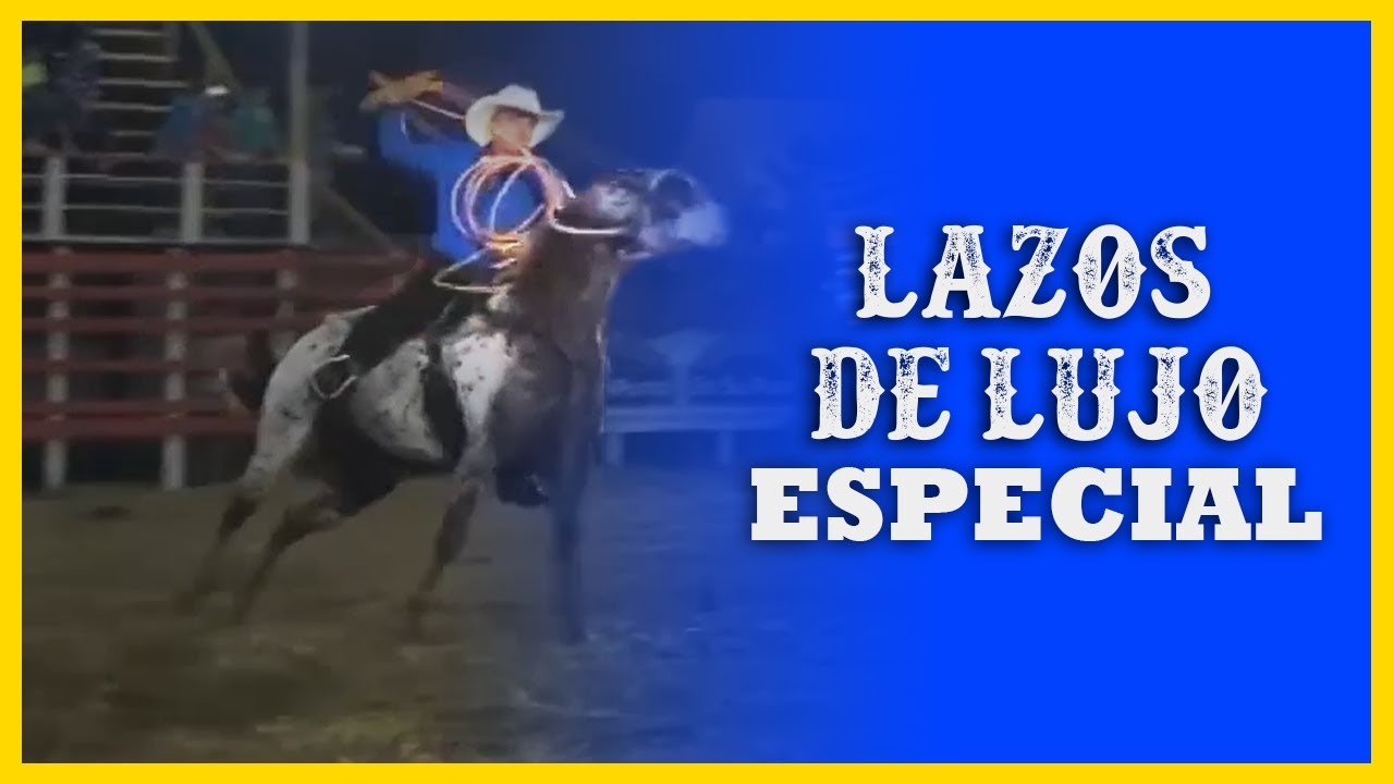 🔥🐴 ESPECIAL LAZOS DE LUJO - 🇨🇷 COSTA RICA - RYSOLTV - YouTube