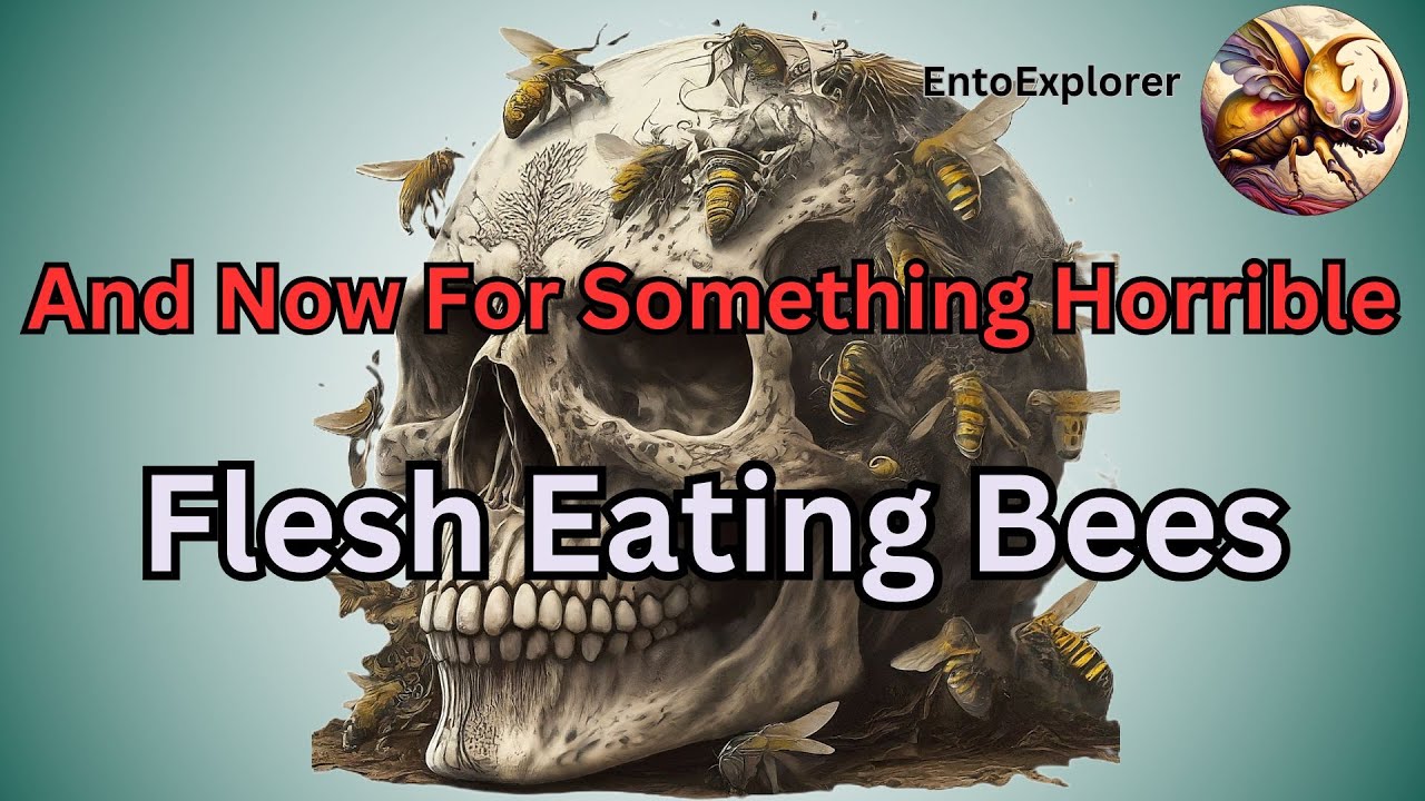 And Now For Something Horrible - Vulture Bees - YouTube