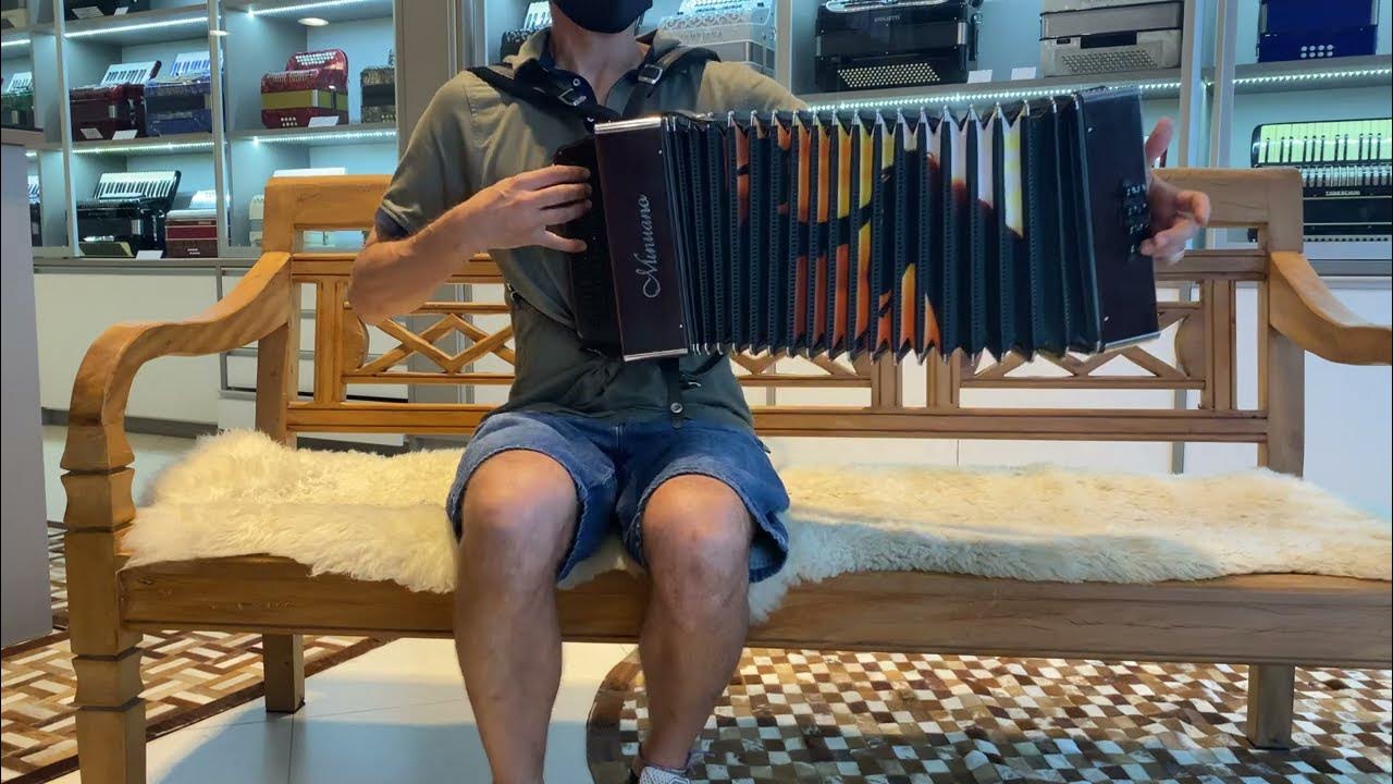 Gaita Acordeon Minuano 8bx 2º 4º Mod Envelhecida Seminova C