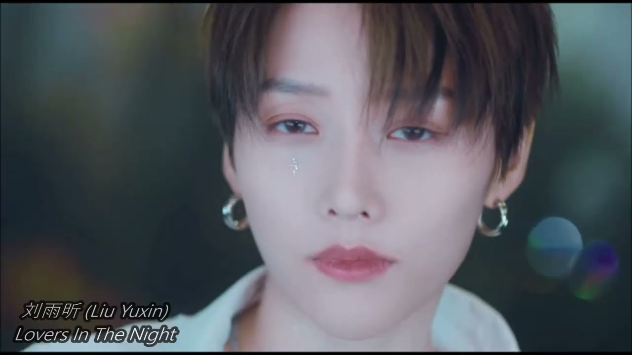 刘雨昕|Liu Yuxin|XIN Liu - Lovers In The Night (FMV) - YouTube