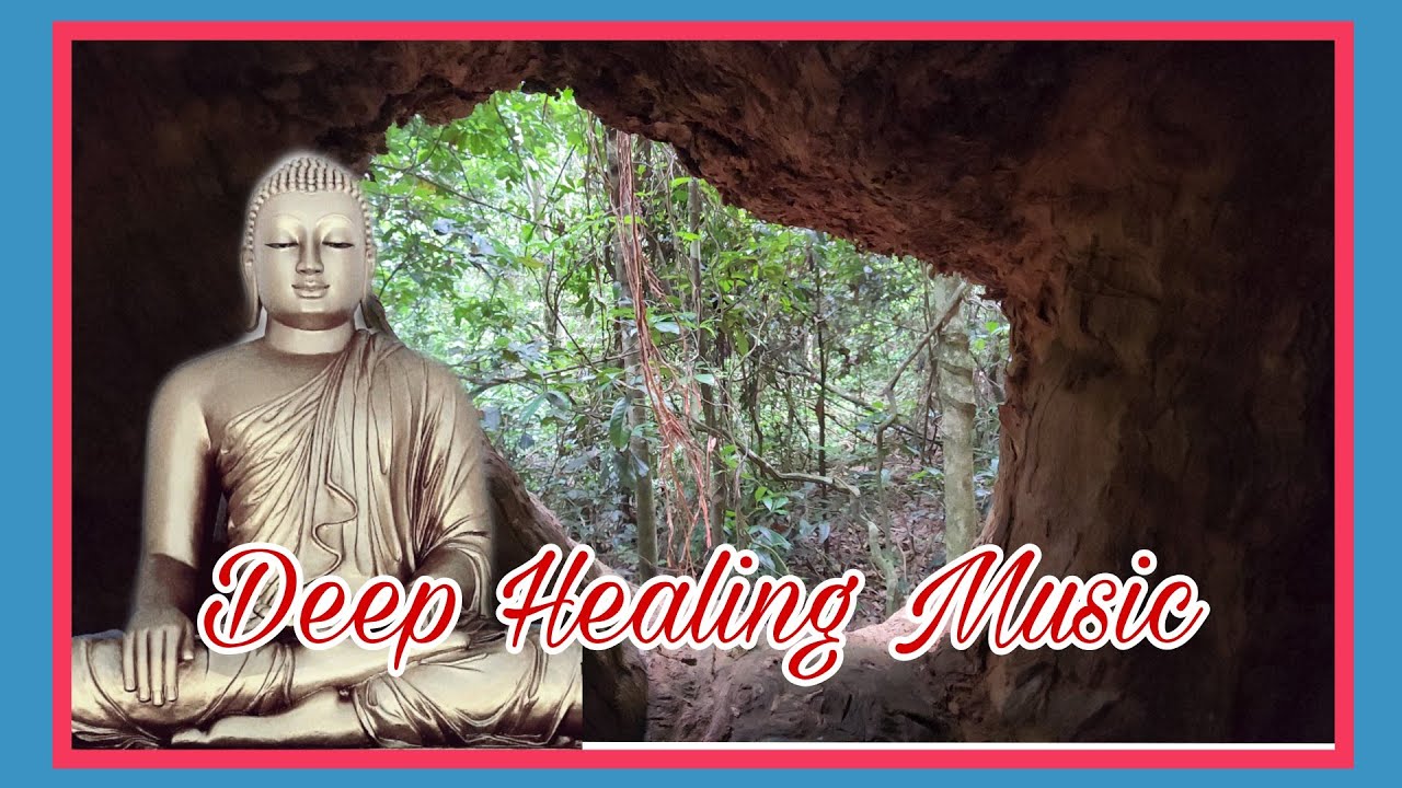Healing - Relaxing - Meditation Music | The Forest | Queensland ...