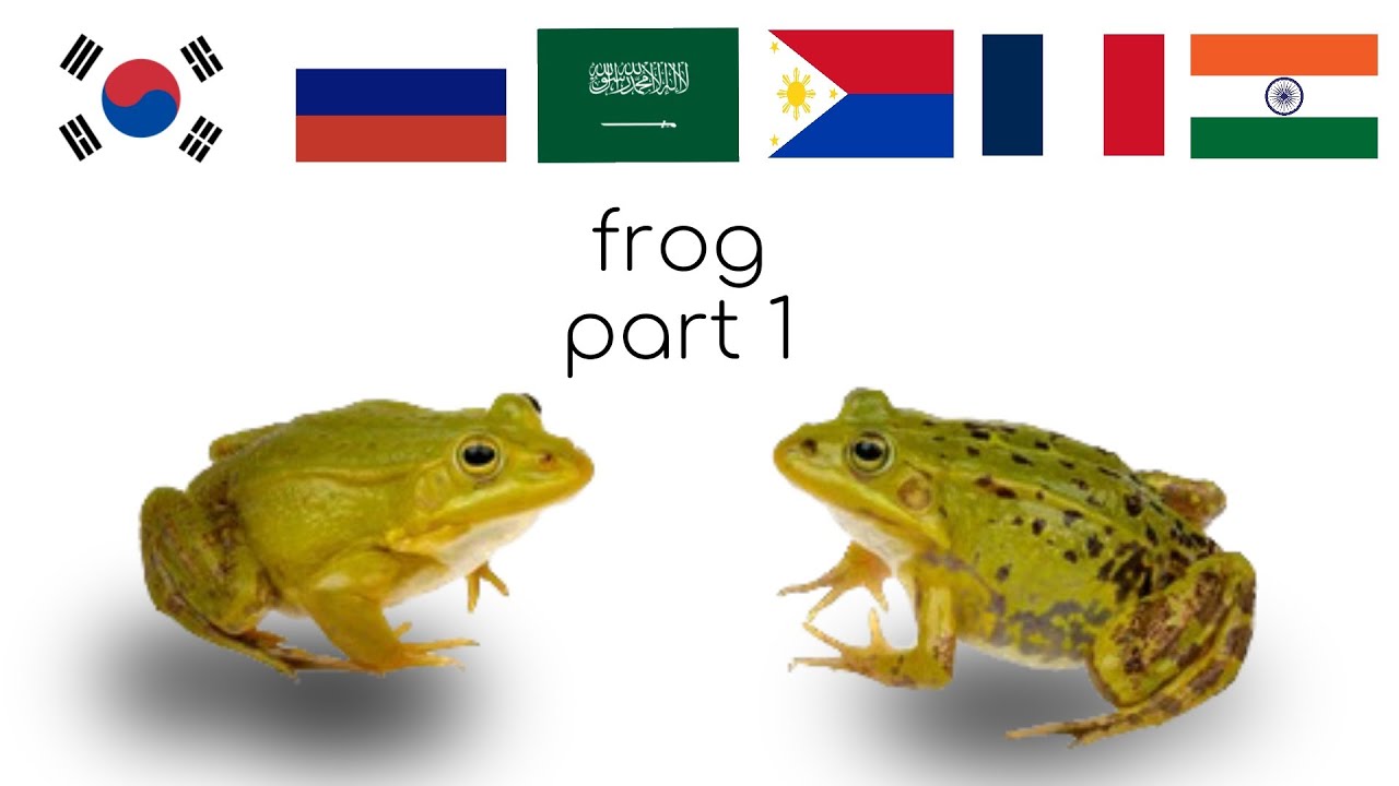 Нow will the frog be in different languages? part 1 - YouTube