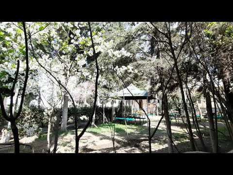 Deyerli Dostumuz Sazbend Sahib Saleh oglu ile gozel bir an yasadiq