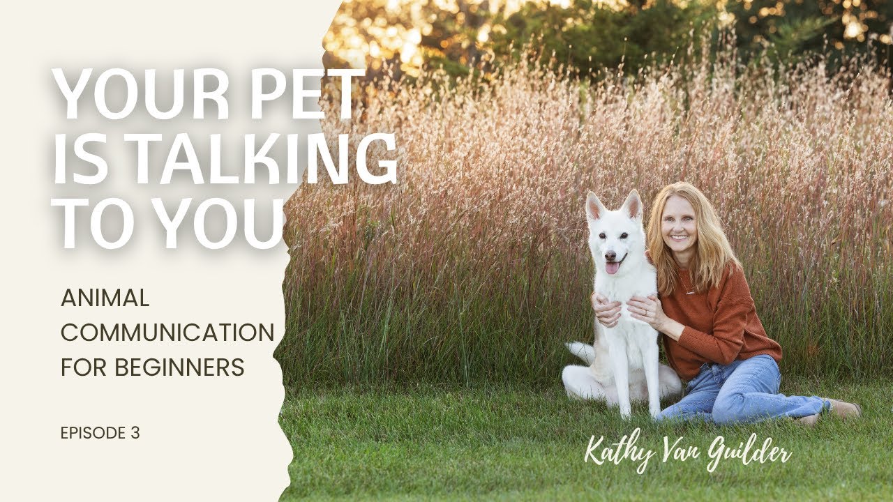 Animal communication for beginners #3 - Your Pet is Talking | Kathy Van ...