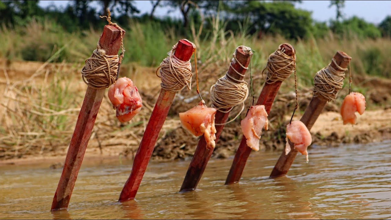 Fishing video || catching big fish using meat in the river of the ...