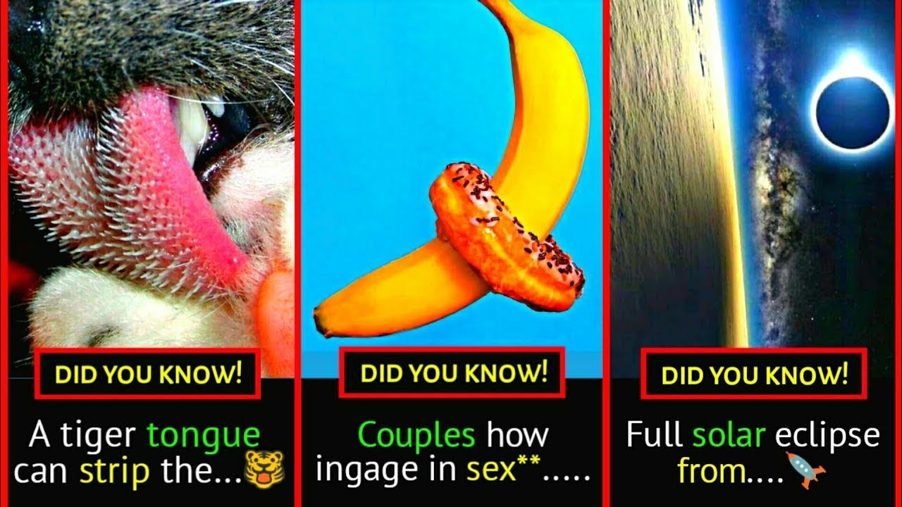 All New Amazing Facts That You Should Know 🤩 #04 ~ Did You Know ~ Fun ...
