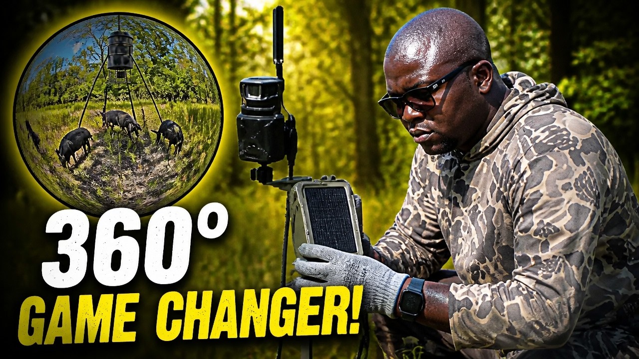 Wild Hogs & Big Bucks on Camera! | Stealth Cam 360 Trail Camera Setup ...