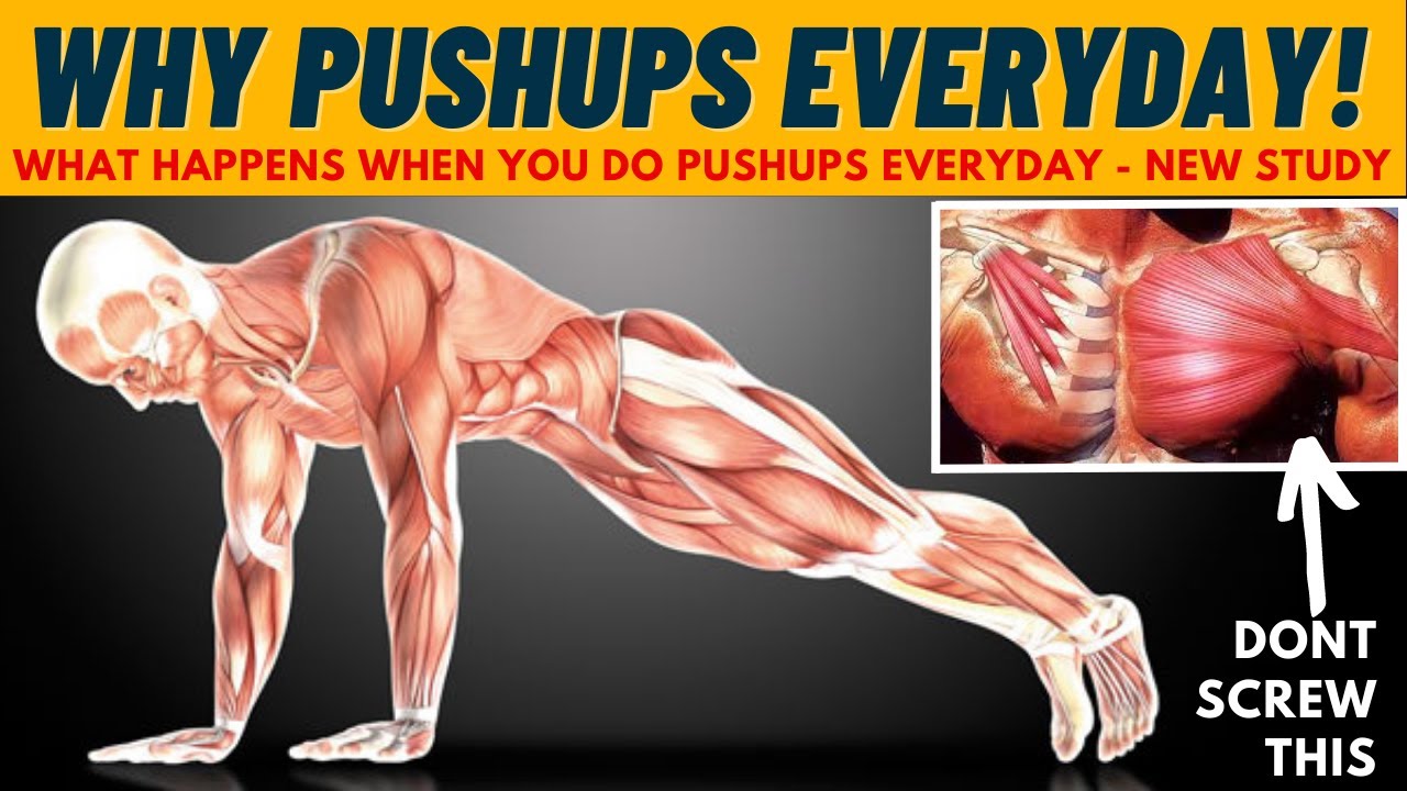 Effects of doing pushups everyday on your body - YouTube
