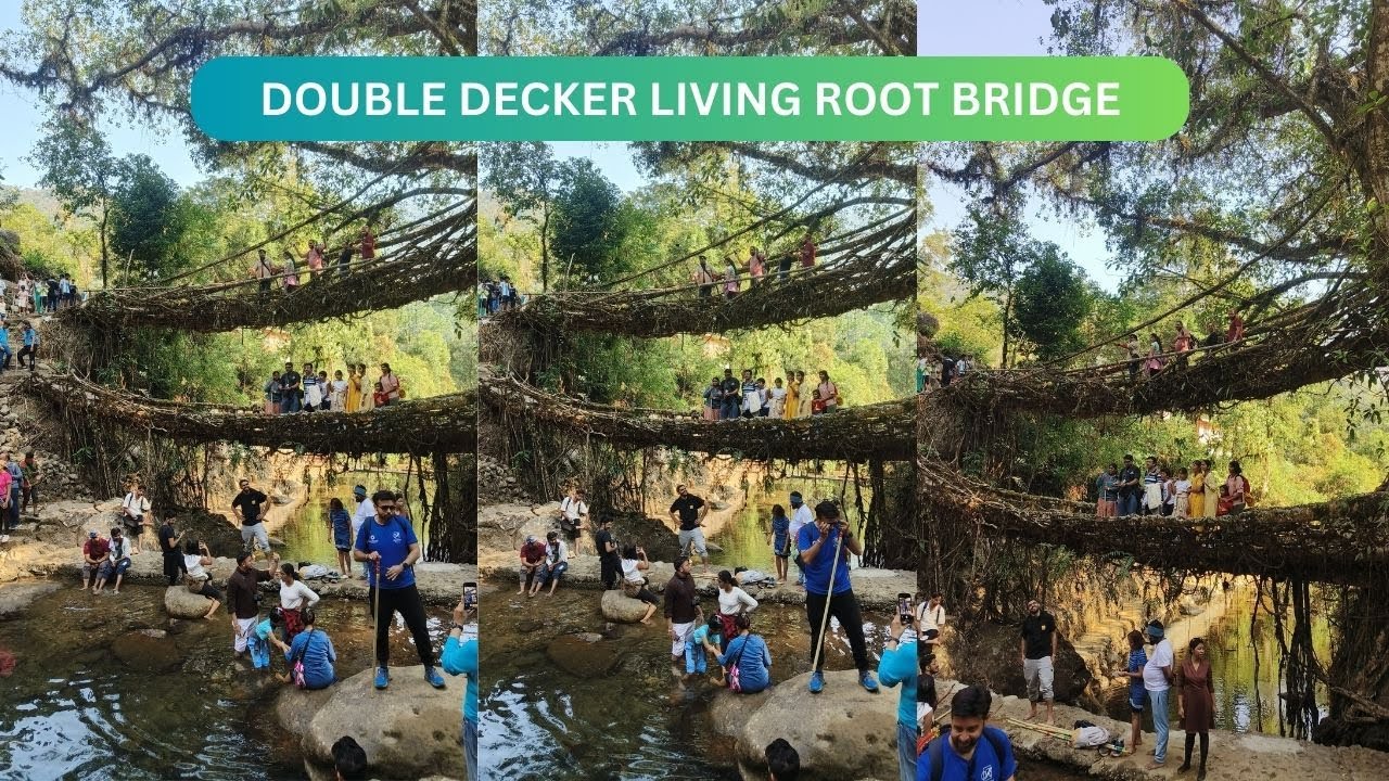 Double Decker Living Root Bridge|| How Much Time It Takes ...