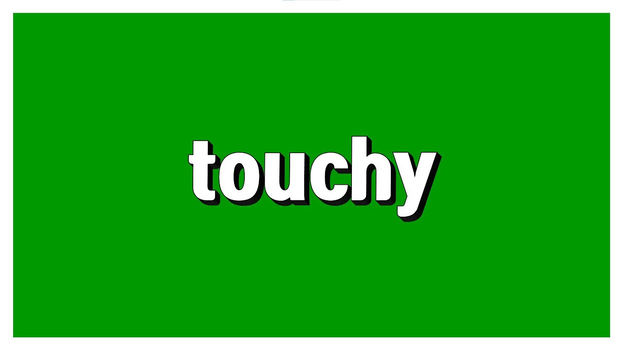 touchy: (주제나 사람이) 예민한, 민감한 / touchy-feely: 감성적인, 감정적인, 감정 표현이 너무 숨김없는 ...