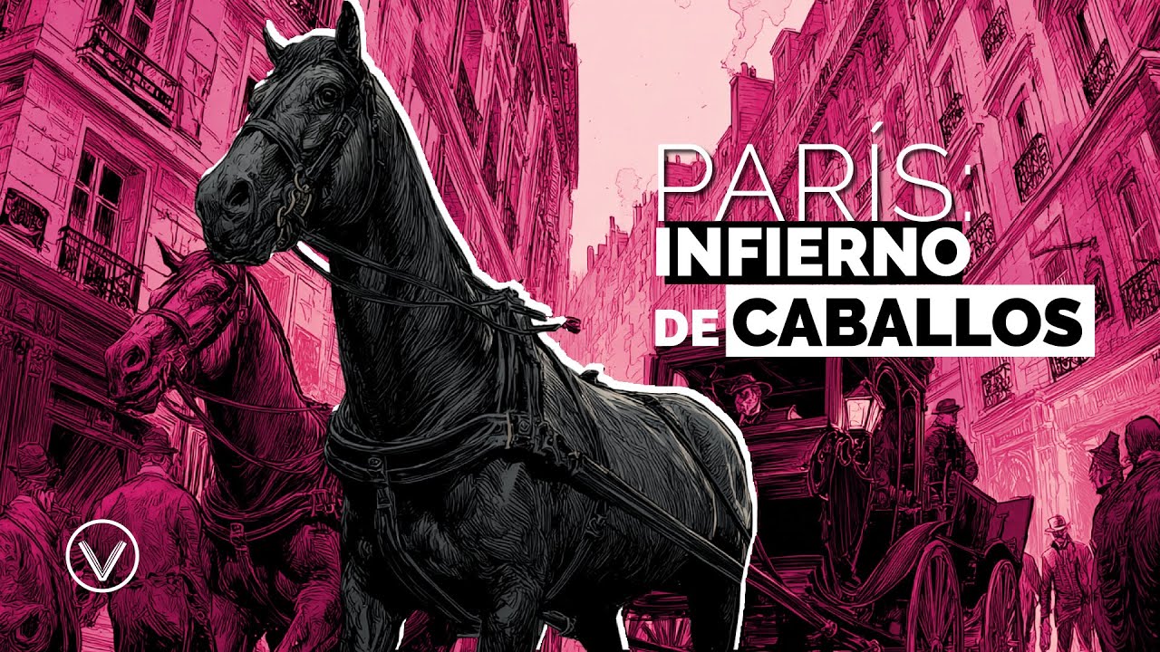 Los caballos de París: cuando la ciudad fue su infierno - YouTube
