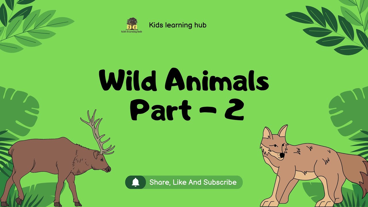 Wild animals part 2 | wild animals name | wild animals name in English ...