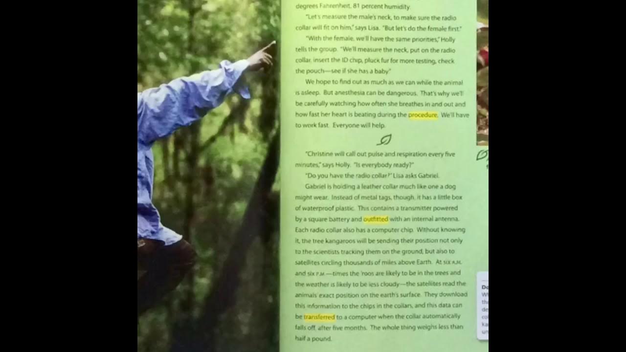 Quest for the Tree Kangaroo Journeys 5th Grade - YouTube