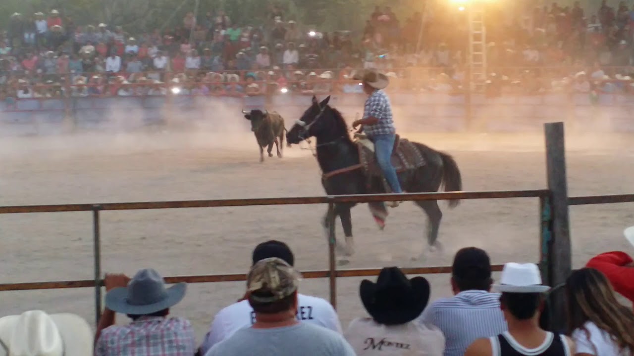 Derramadero Rancho la caballera 12 de noviembre 2017 - YouTube